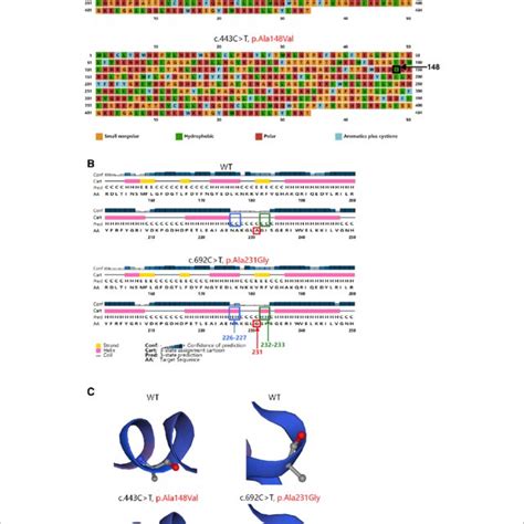 Structures Of The Wild Type And Mutated Trnt1 Proteins A Variant Download Scientific Diagram