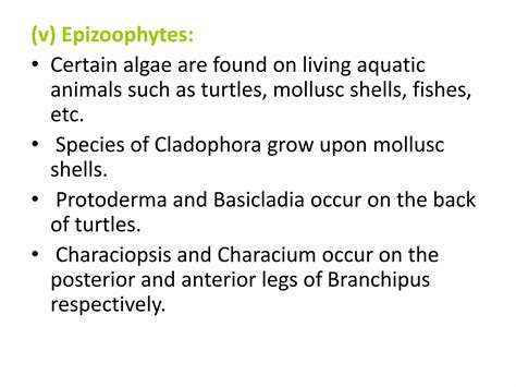 Habitat And Habit Of Algae Pptx