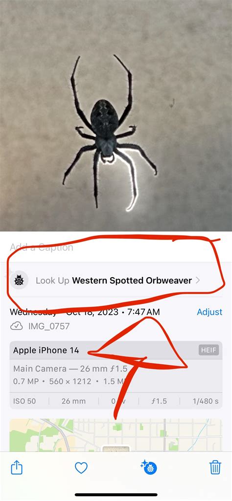 Ios Camera Now Tells You What Bug You Found Rios
