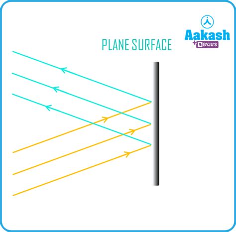 In Definition Types And Importance Aesl