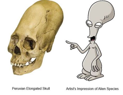 Paracas Elongated Skulls Modern History Ancient History History