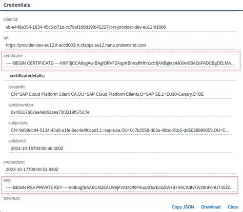 It Partners Inc On Linkedin Generate Pfx File To Connect Sap Document And Reporting Compliance