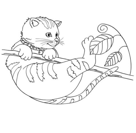 Printable Naughty Cat Coloring Page Free Download And Print For You