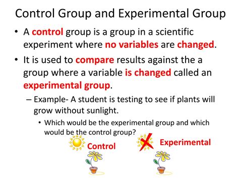 Control Group Defined At Robin Clark Blog
