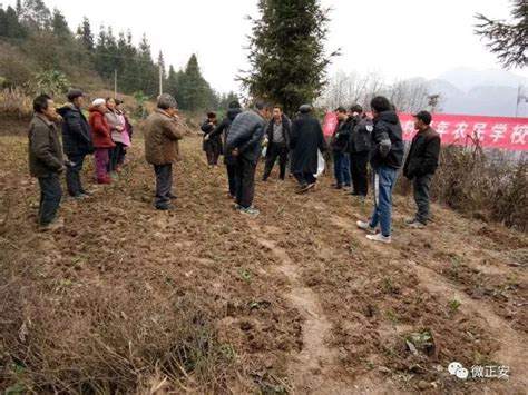 農閒人不閒，農民學校忙「充電」 每日頭條