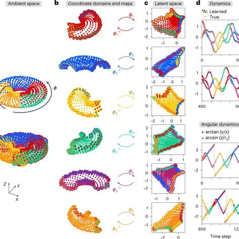 Quasiperiodic Dynamics On The Surface Of A Torus Analogous To Fig 2 Download Scientific
