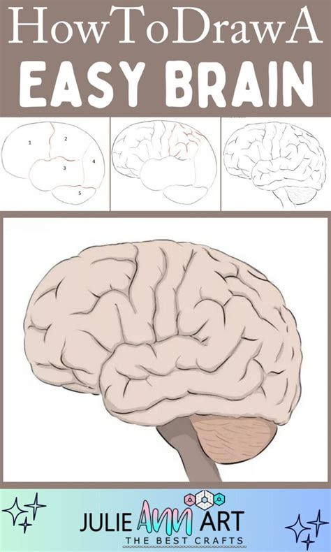 12 Easy Brain Drawings With Step By Step Guides Julie Ann Art