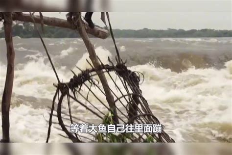 这样捕鱼你见过吗直接拦截整条河道大鱼小鱼一条都不放过 大鱼 河道 小鱼