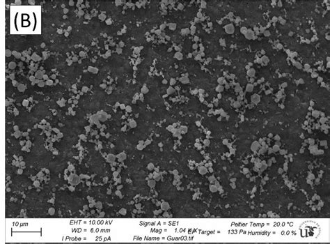 A Microstructure Formed By Linseed Oil Emulsion Formulated With 0 3 Download Scientific