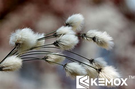 Understanding The Different HPMC Grades And Their Applications Kemox