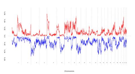 Frequencies Of Chromosomal Aberrations The Frequencies Of