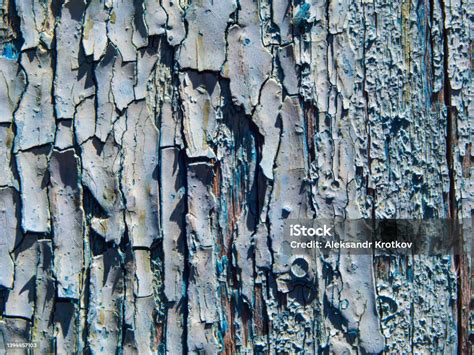 금이 페인트와 파란색 나무 배경 더러운 퇴색 된 파란색 페인트를 배경으로 껍질을 벗기는 나무 벽 필링 페인트로 그려진 표면 0명에 대한 스톡 사진 및 기타 이미지 Istock