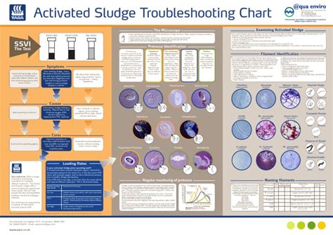 Activated Sludge Troubleshooting Chart 1 Pdf Protozoa Organisms