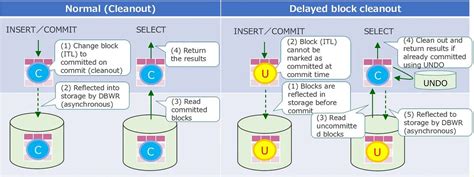 Automatic Materialized Views Amv In Oracle Database 23ai By Arsalan Dehghani Sariyarghan