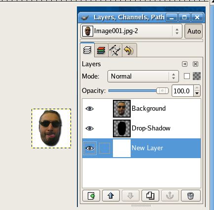 Nicu S How To Creating Hackergotchis With GIMP