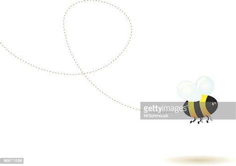 Bee Flight Pattern Photos And Premium High Res Pictures Getty Images