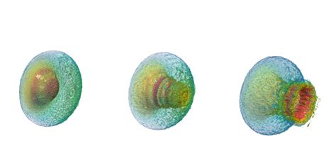 Computational Fluid Dynamics · Github Topics · Github