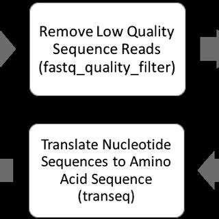 Bioinformatics Workflow For Analyzing NGS Datasets Following Biopanning Download Scientific