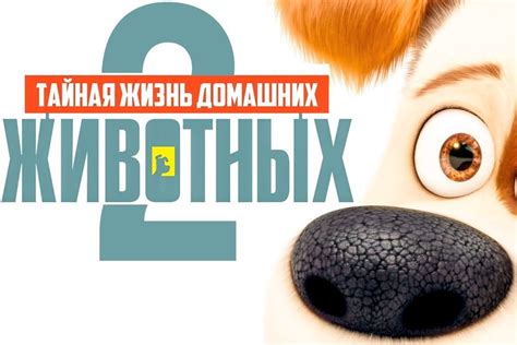 Мультфильм Тайная жизнь домашних животных 2 2019 г