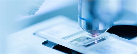 Hemocytometer Cell Counting Including Calculations Integra