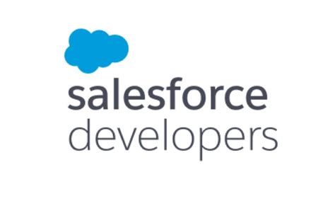 How To Hire The Best Salesforce Developers For Your Companys Needs