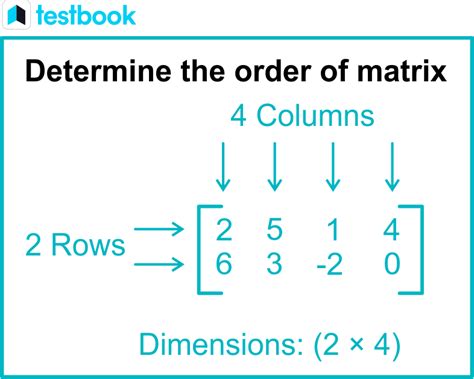 Understanding The Order Of Matrix Detailed Guide