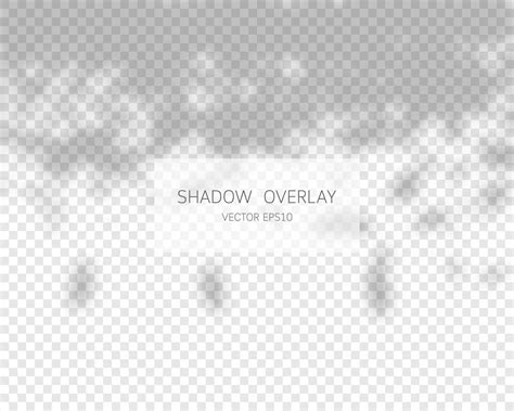 Shadow Overlay Effect Natural Shadows Isolated 2123586 Vector Art At Vecteezy