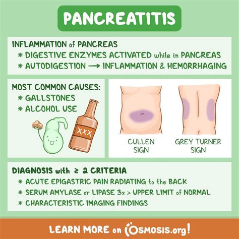 Be Aware That Lipase Is More Accurate Than Amylase Rfoamed911