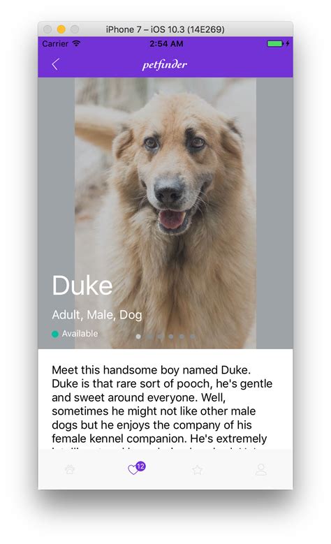 GitHub Sean Perkins Nativescript Petfinder Social App For Adopting