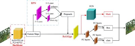 Frontiers Fusing Attention Mechanism With Mask R Cnn For Instance