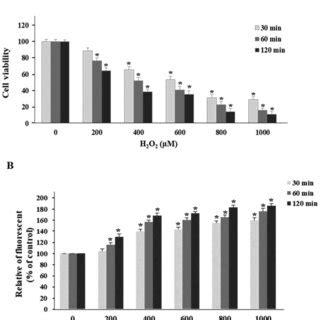 Evaluation Of The Effect Of H2O2 On Cell Viability And ROS Production Download Scientific