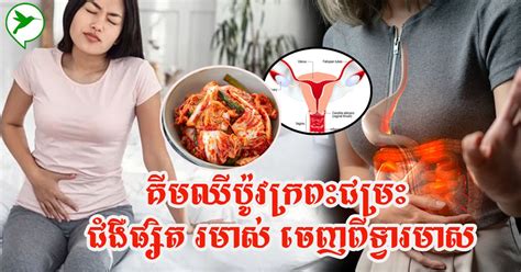 អស្ចារ្យ ញុំាគីមឈី ប៉ូវក្រពះ សម្អាតរោគផ្សិតក្នុងទ្វារមាស និងអាចការពារជំងឺក្រិនសរសៃឈាមបេះដូង