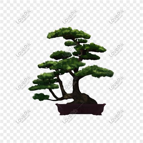 중국 스타일의 손으로 그린 소나무 분재 Png 일러스트 무료 다운로드 Lovepik