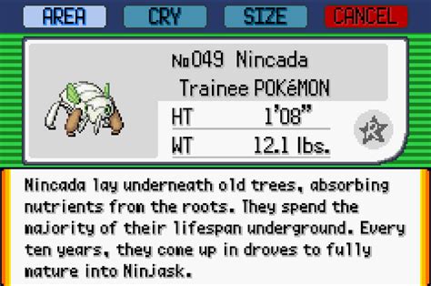 Nincada Pokémon Pisces Wiki Fandom