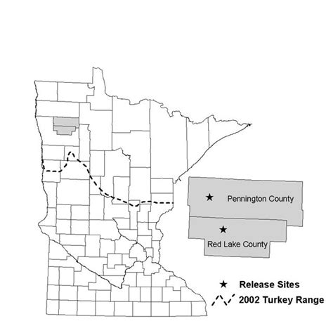 The Code Of A Programming Example Is Left Intact In Webex Download