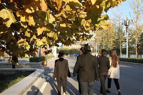 北大青鸟：软件开发培训机构怎么样 知乎