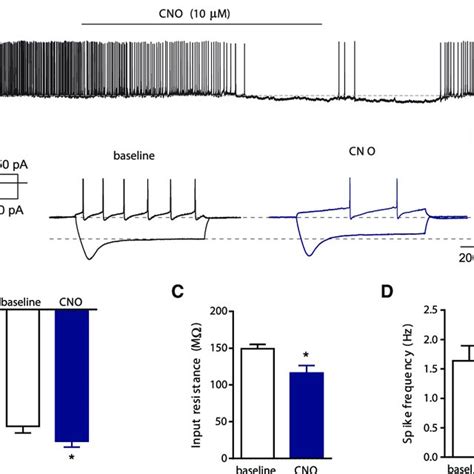 Inhibition Of Hm4d Expressing Vta Dopamine Neurons Following Cno Download Scientific Diagram