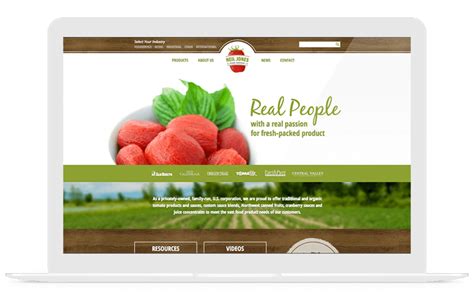Web Design And Development Case Study For Neil Jones Food Company Gravitate