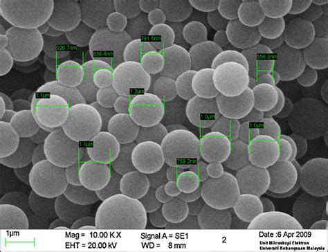 Sem Image Of Acrylic Microspheres Download Scientific Diagram
