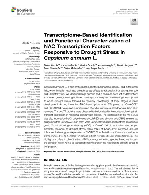 Pdf Transcriptome Based Identification And Functional Characterization Of Nac Transcription