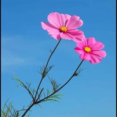 ကဗ်ာ ခ်စ္သူ ကဗ်ာ ခ်စ္သူ Added A New Photo