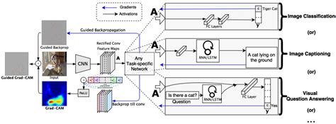 pytorch中网络特征图 feture map 卷积核权重卷积核最匹配样本类别激活图 Class Activation Map CAM