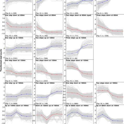 Top 20 Expression Patterns Plus Two Main Expression Patterns Of 13daa Download Scientific