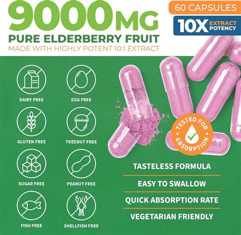 Forestleaf Sambucus Elderberry Vitamin C And Zinc Chile Ubuy