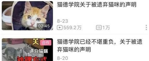 做宠物的抖音大号 宠物网问答