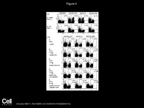 Attrition Of T Cell Memory Ppt Download