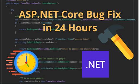 Bug Fix In Your Asp Net Core Api Quickly By Eduardokroetz Fiverr