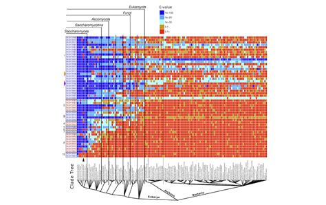 Bioinformatics Workbook