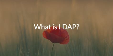What Is LDAP JumpCloud