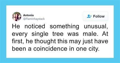 Scientist Discovers That Tree Sexism Might Be A Major Reason Behind Many Spring Allergies